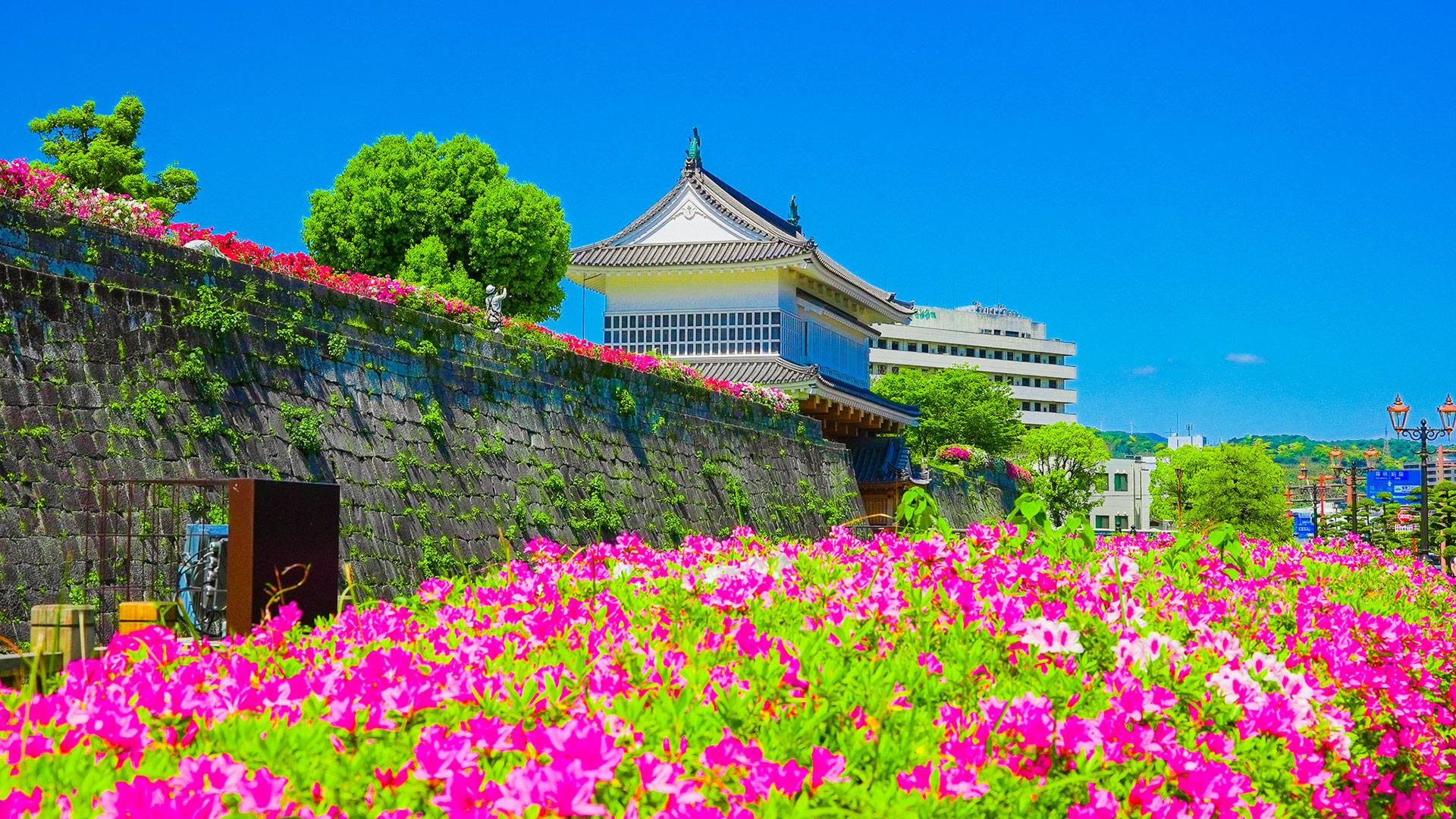 鹿児島城見どころ観光歴史をわかりやすく解説城写真の日本の旅侍
