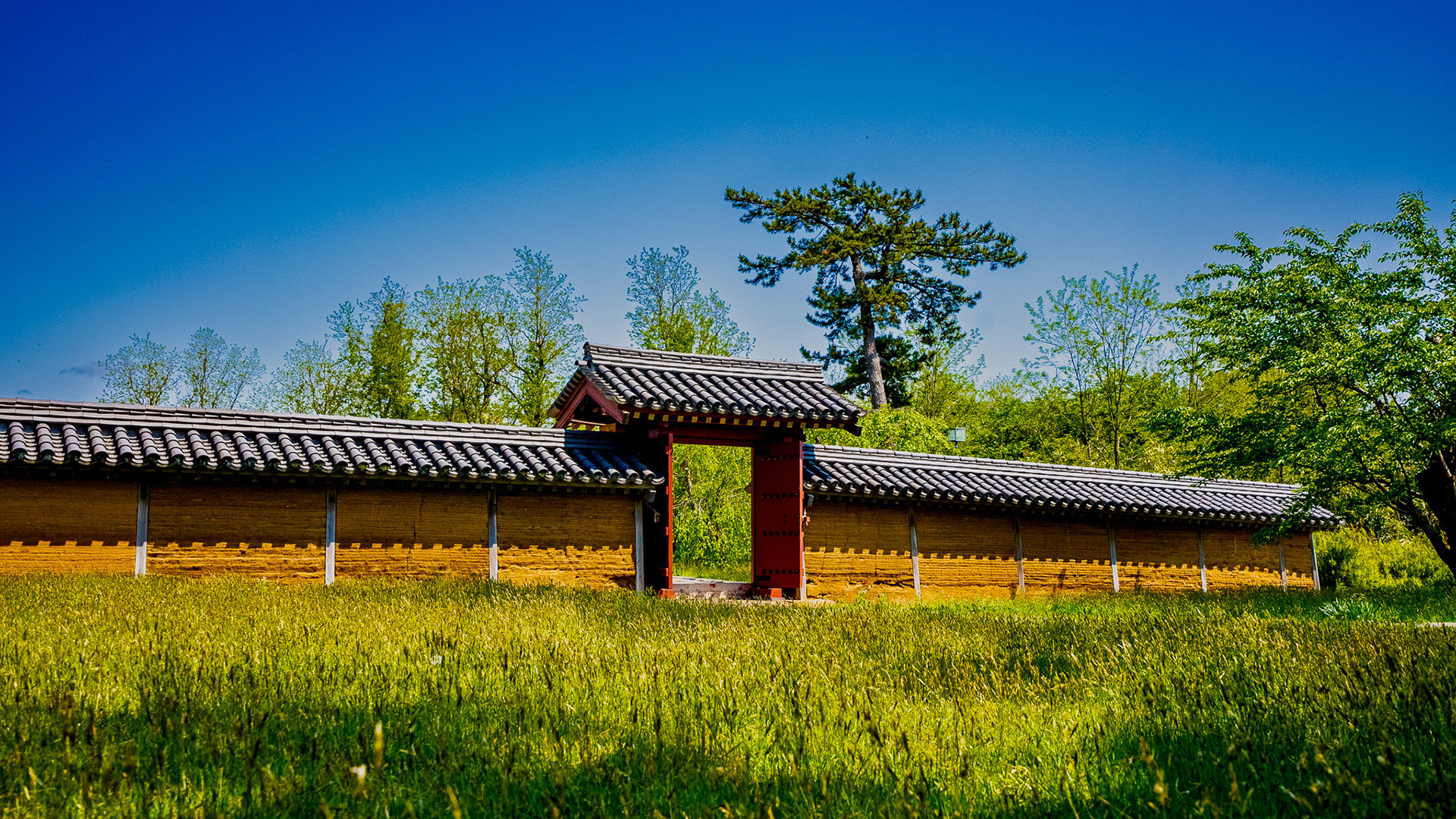 秋田城｜見どころ観光｜歴史をわかりやすく解説｜城写真の日本の旅侍